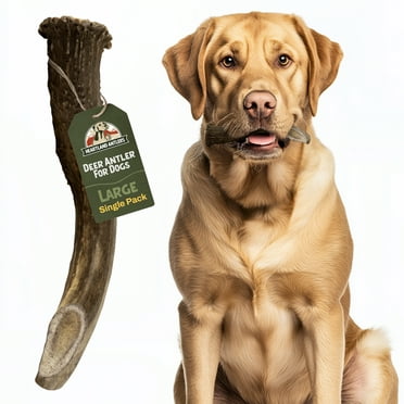 Heartland Elk Antlers for Dogs (Whole Elk, 5â€“6", Medium, 1-Pack) â ...