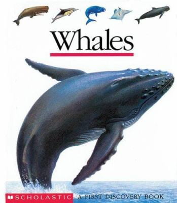 Pre-Owned Scholastic First Discovery: Whales (Paperback) 0545001404 ...