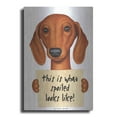 Luxe Metal Art 'Brown Dachshund with Spoiled Sign' by Danny Gordon Art ...