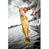 Berkley Gulp! Alive! Minnow 2.5in Emerald Shiner Fishing Bait - Walmart.com