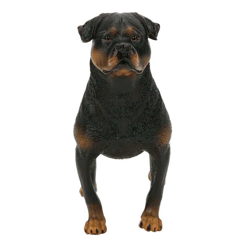 Toy Rottweiler Full Grown