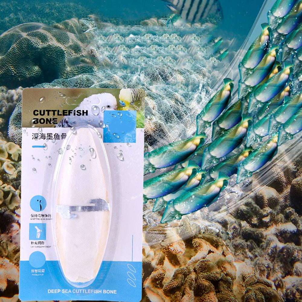 Buy Leking Bird Cuttle Bone Bird Cuttlebone for Parakeets Natural ...