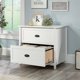 Sauder County Line 2-Drawer Lateral File Cabinet, Soft White Finish ...