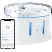 Recirculating Water Fountain