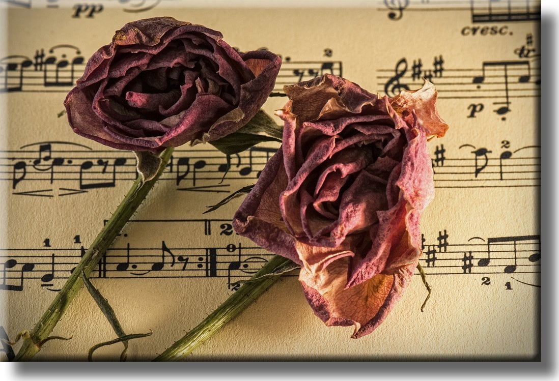 Music and Roses, Music Notes Picture on Stretched Canvas, Wall Art ...