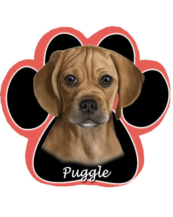 Puggle Dog Paw Mouse Pad - Walmart.com