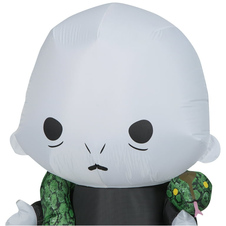 Lord Voldemort Cartoon
