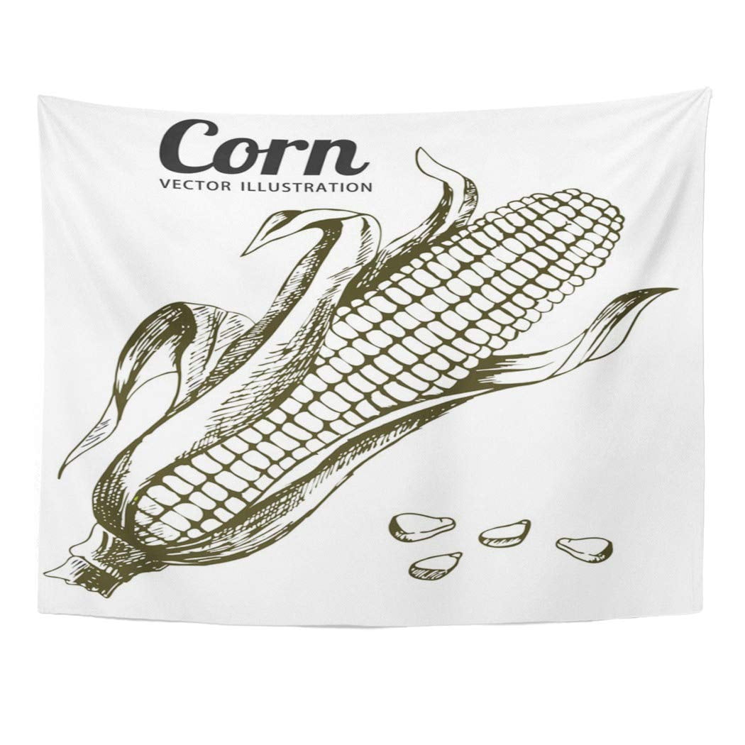 Vintage Corn Illustration