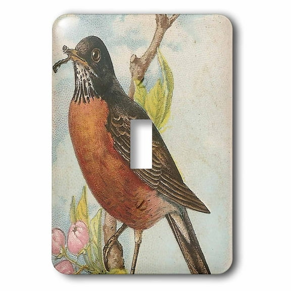 3dRose, Sanibel Gulls, single toggle switch - Walmart.com