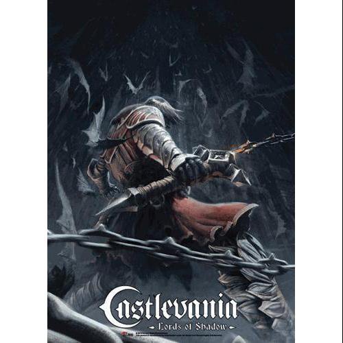 Castlevania Lords of Shadow Gabriel Wall Scroll - Walmart.com