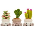 Greenhouse by Russ Potted Plant Plush Set (Rubber Tree, Succulent ...
