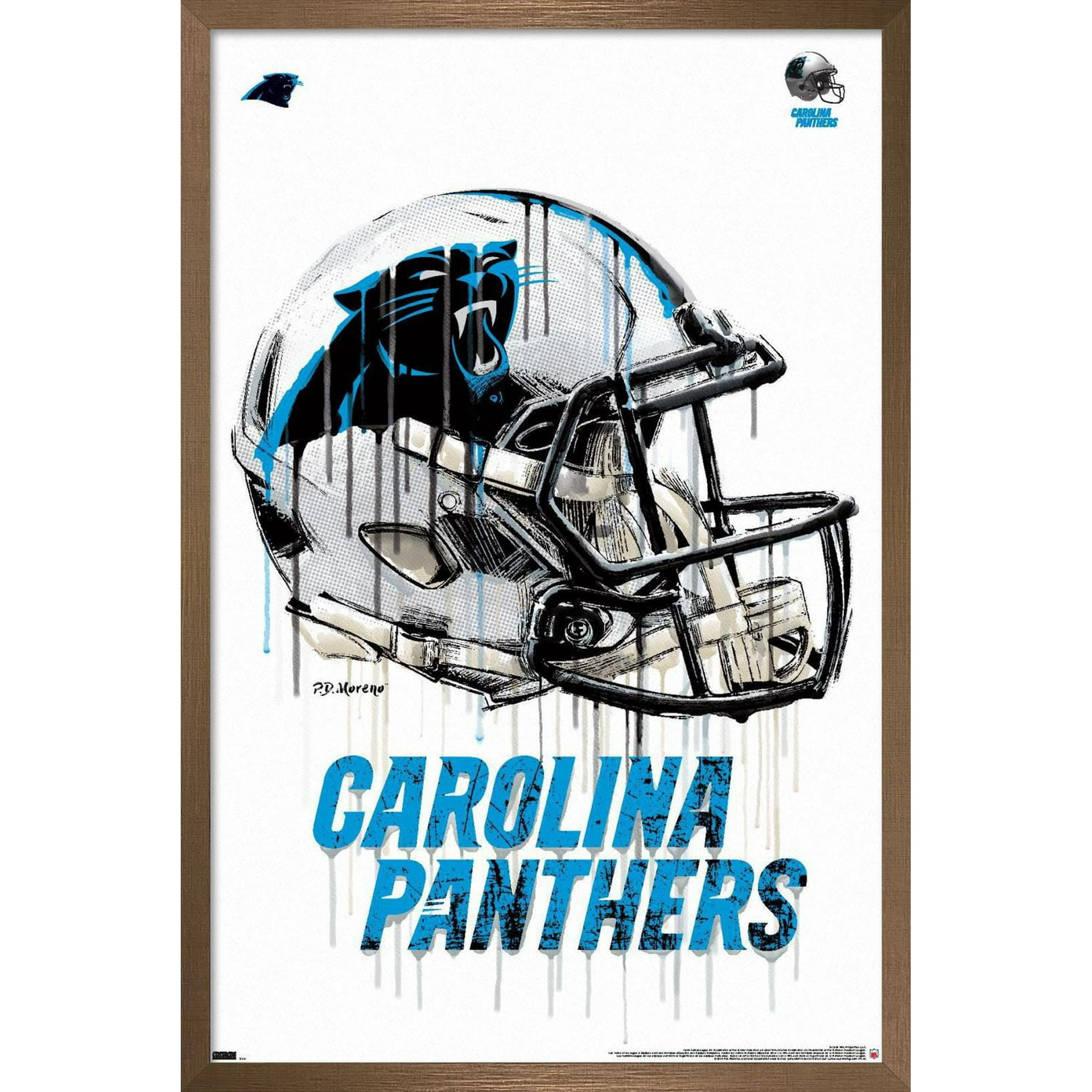 Click here for Trends International Nfl Carolina Panthers - Drip... prices