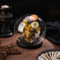 1 pc Glass Round Cover Decorative Display Case Cloche Bell Jar ...