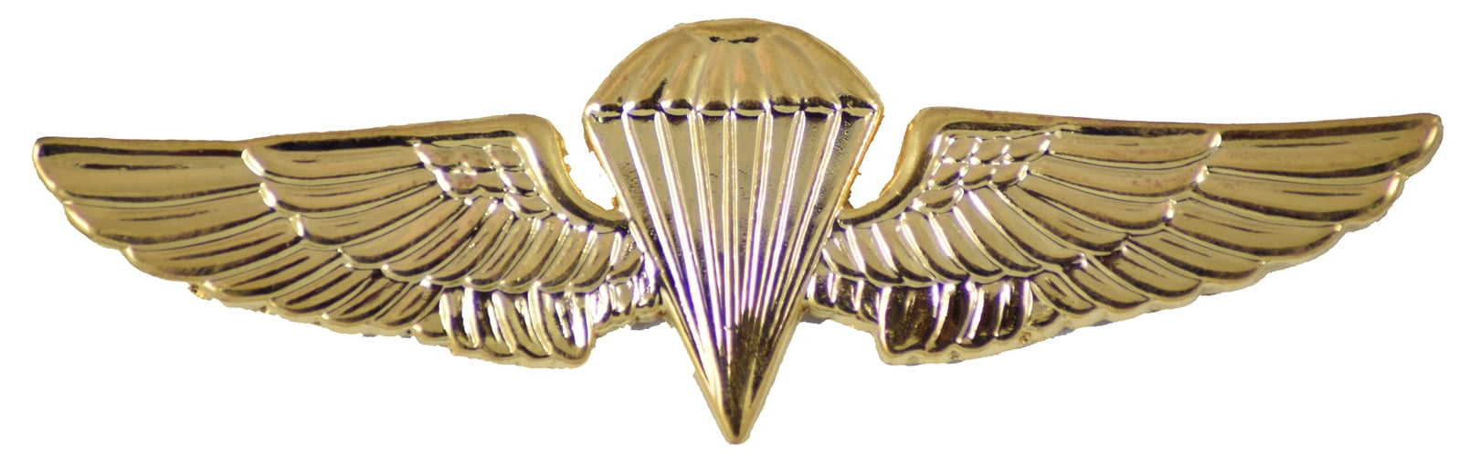 MARINE JUMP WINGS HAT PIN (Gold) - Walmart.com