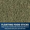 Tetra ReptoMin Scientifically Formulated Floating Food Sticks for ...