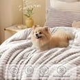 Fleece King Comforter Set -Super Soft & Warm Fluffy Rust Orange Bedding ...