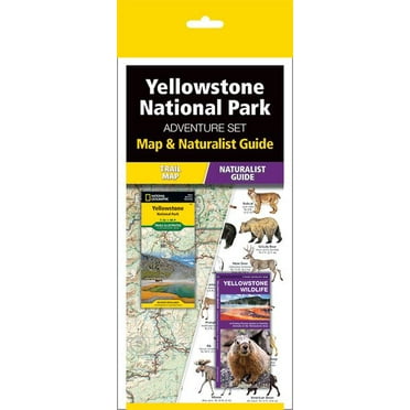 Yellowstone National Park: 9781566952958 - Walmart.com