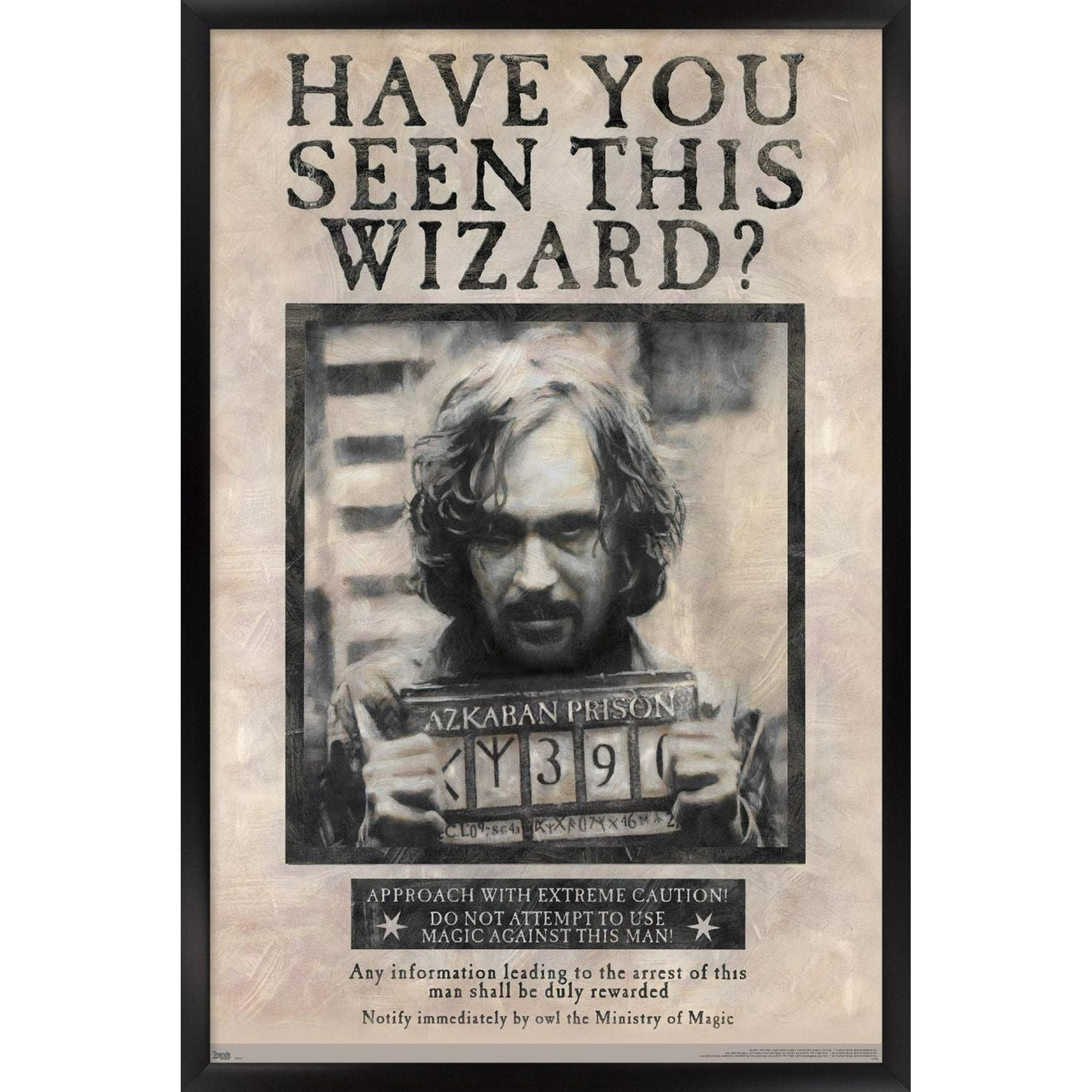 Click here for Trends International The Wizarding World: Harry Po... prices