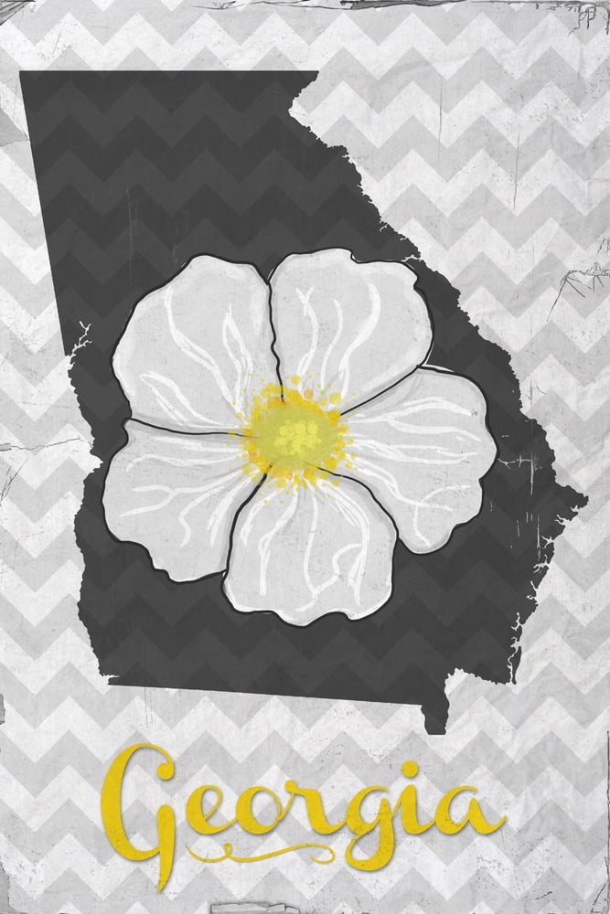 Georgia, State Flower, Cherokee Rose (9x12 Wall Art Print, Home Decor ...