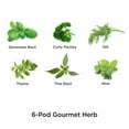 AeroGarden Gourmet Herb Seed Pod Kit with Genovese Basil, Curly Parsley ...