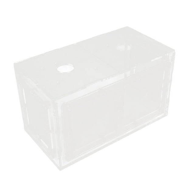Aquarium Fish Breeding Box Fish Breeding Isolation Box Brine Shrimp ...