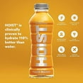 HOIST Quick Energy Workout Drink, Peach Mango, Premium Hydration ...
