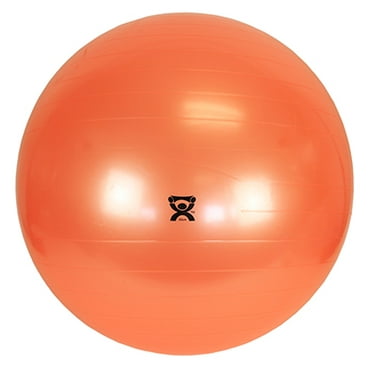 Gaiam Restore Strong Back Stability Ball Kit - Walmart.com