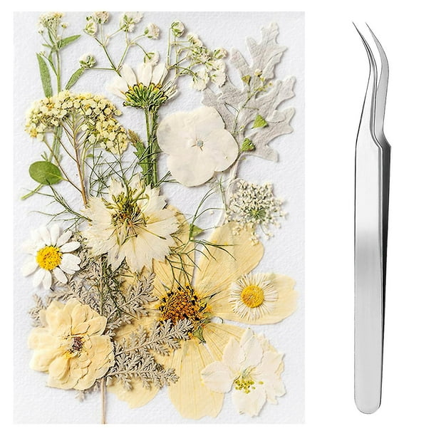 Pressed Flowers Resin Flowers, Real Flower Embossing Craft With ...