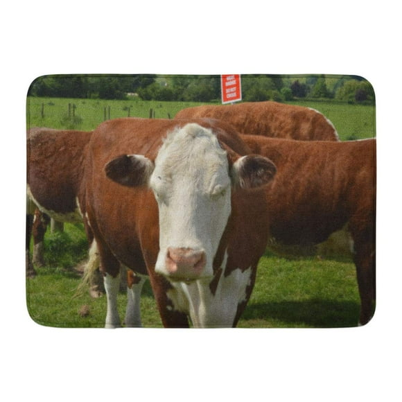 Farm Animals Rug