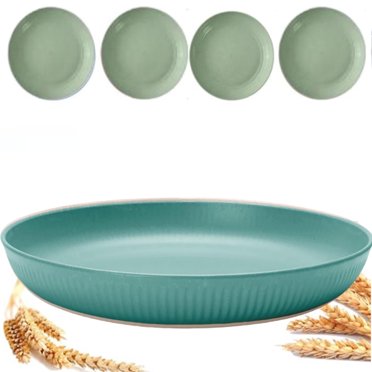 6 Pieces 7.9 Inch Stainless Steel Round Plate, Metal Camping Plates ...