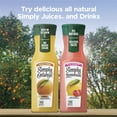 Simply All-Natural Non-GMO Raspberry Lemonade Juice, 11 fl oz Bottle ...