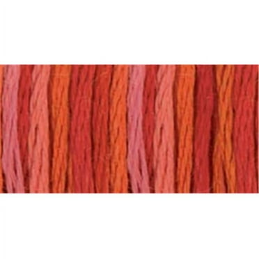 The Pioneer Woman® 6-Strand Embroidery Floss Kit, Heritage Floral, 6 ...