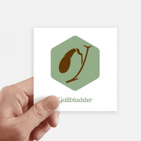 Body Gallbladder Sticker Square Waterproof Stickers Wallpaper Car Decal ...