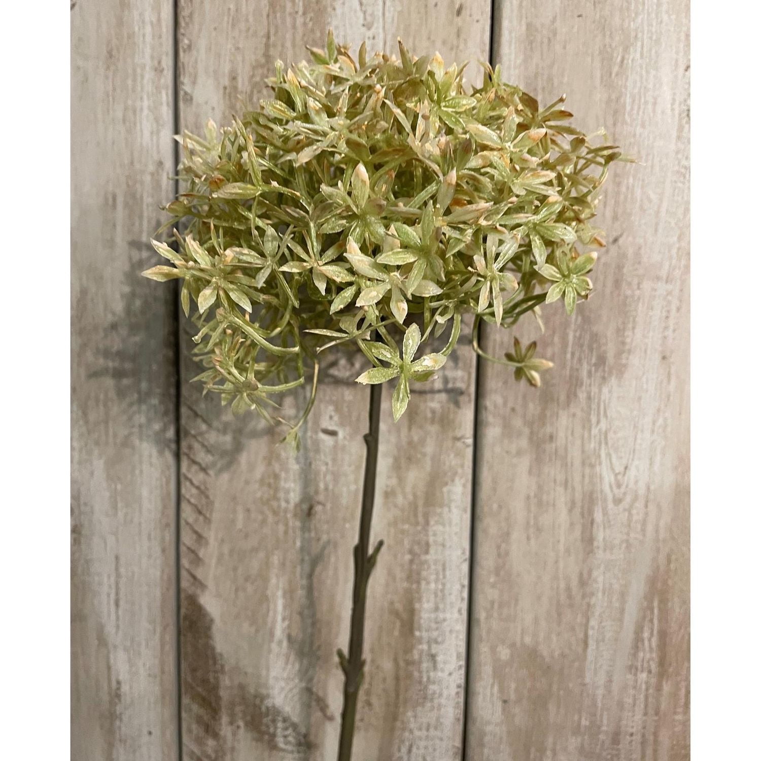 Click here for Hill Interiors Allium Stem Artificial Flower prices