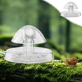Tainini Clearance Sales! Snail Catch Box ,Transparent Snail Catcher ...