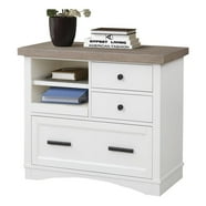 Bowery Hill 2 Drawer Lateral File Cabinet in Natural Elm - Engineered Wood - Walmart.com