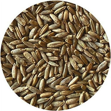Rye Berries, 10 Pounds – Whole Grain Powerhouse for Bread, Sourdough ...