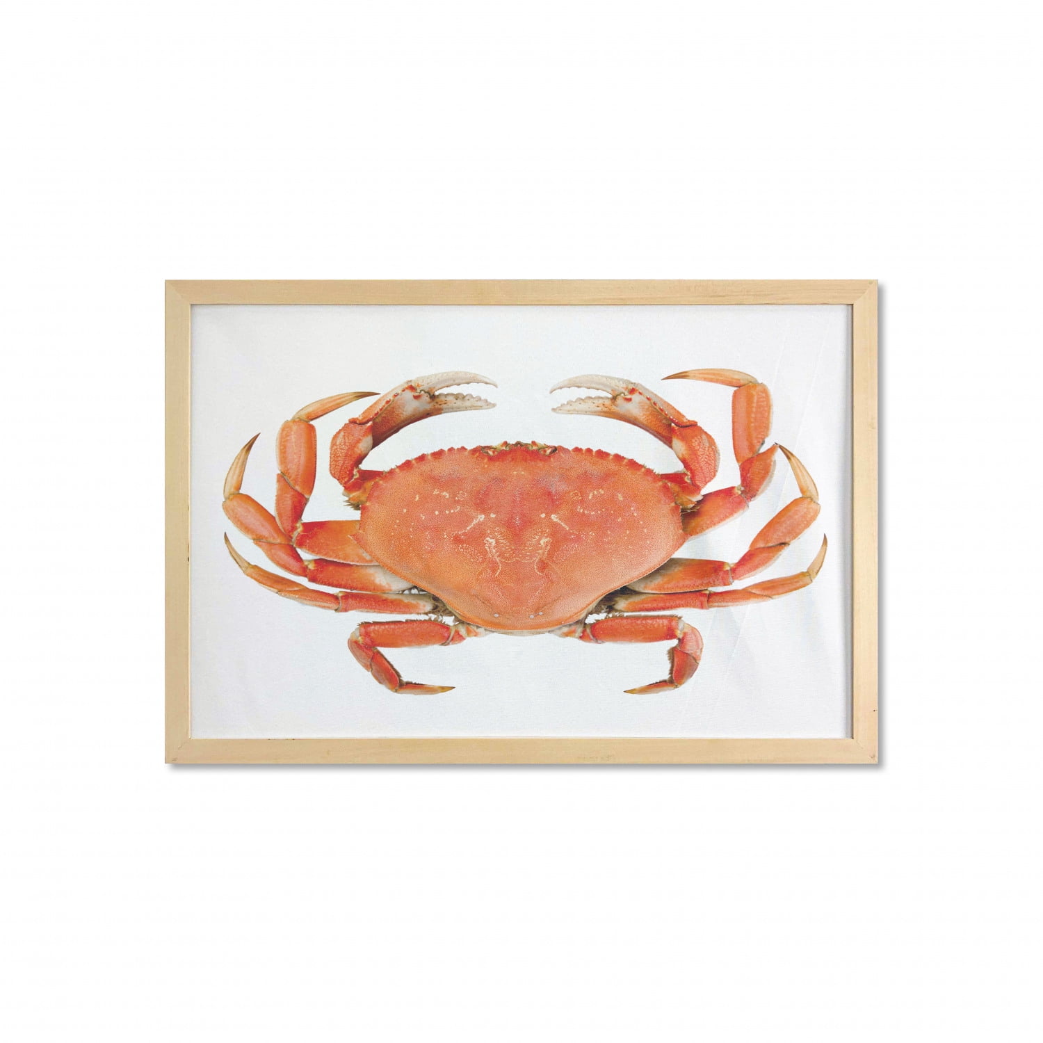 Crabs Wall Art with Frame, Sea Animals Theme a Cooked Dungeness Crab ...