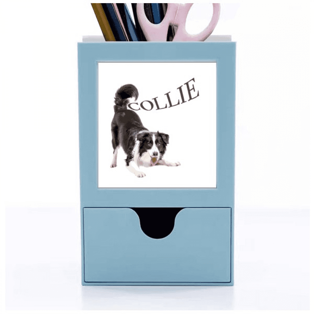 Border Collie Farm Pet Art Deco Fashion Desk Supplies Organizer Pen ...