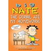 Big Nate: Mr. Popularity (Paperback) - Walmart.com