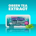 Mentos Clean Breath Hard Mints Sugar Free Candy, Wintergreen, (Pack of ...