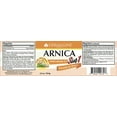 DERMALINE Arnica 3 in 1 Ointment, Ginger, Curcumin and Salvia Oil ...