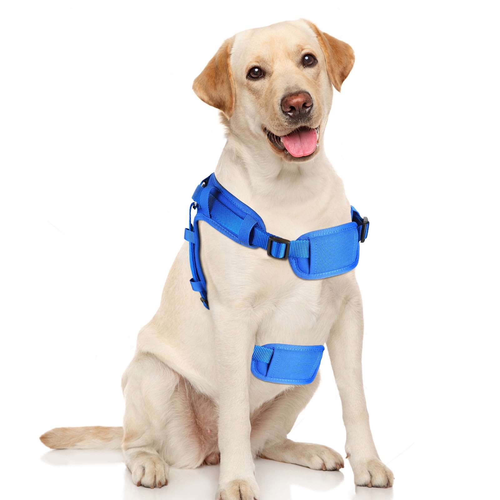 PcEoTllar No Pull Dog Harness for Medium Dogs, Mesh Breathable Padded ...