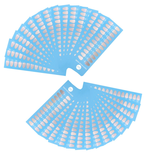 Tooth Numbering Chart