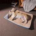 Bvdfgk Mat Sleeping Pad with Pillow Blanket for Animals Coffee 97x66x4 ...