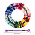 Embroidery Floss Rainbow Friendship Bracelet String Cotton Cross Stitch ...
