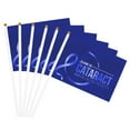 Congenital Cataracts Awareness Month Flag Small Mini Hand Held Flags ...
