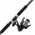 Free Shipping! Ugly Stik Bigwater Spinning Combo, 10' Medium Heavy ...