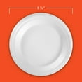 "Hefty Everyday Styrofoam Dinner Plates, Supreme Foam, 8 7/8"", 250 ct ...