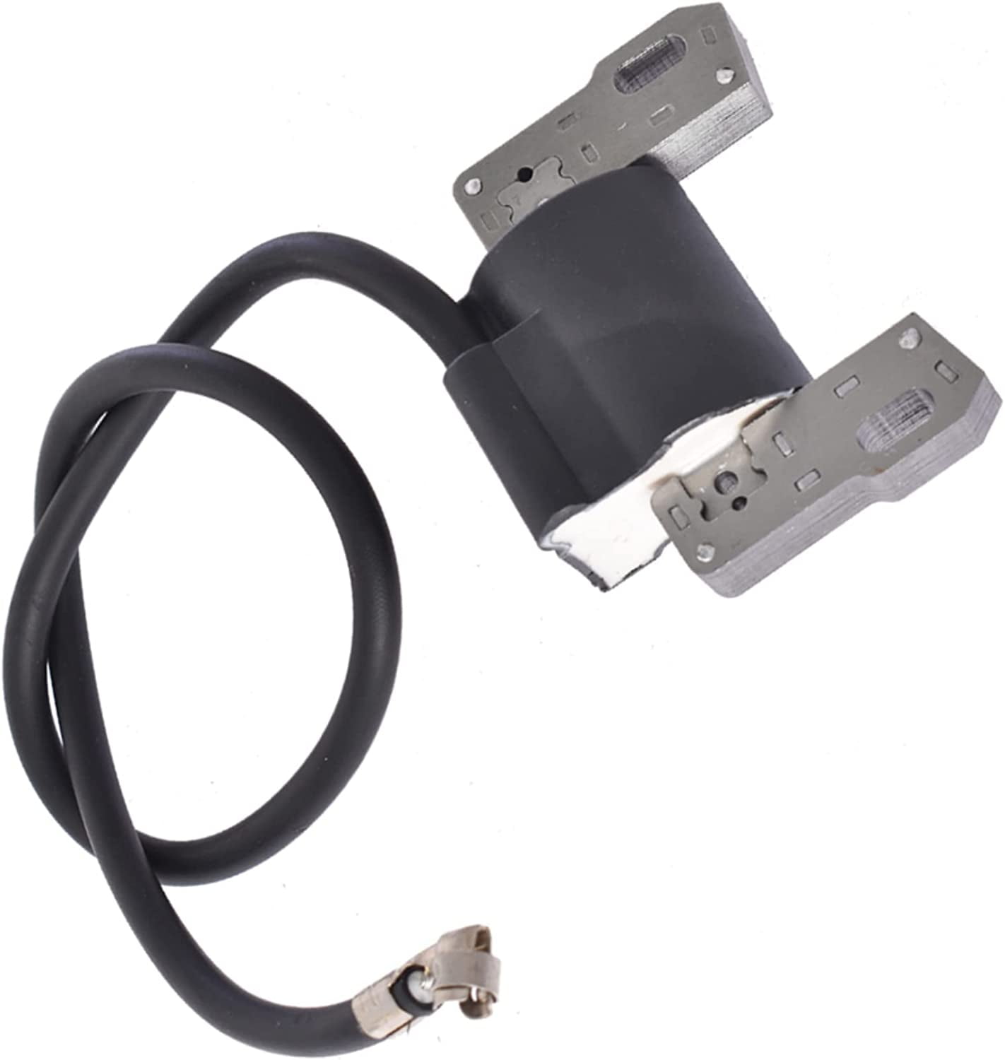 waltyotur 799651 691060 Ignition Coil Replacement for Briggs & Stratton ...